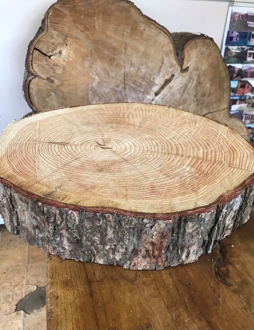 Axe Throwing Target Practice Log Rings, Imperfect Log Rings, Various ...