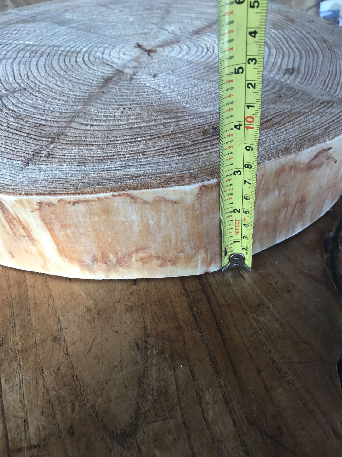 Gorgeous 18 Rustic Log Slice X 3 Thick Without | Etsy