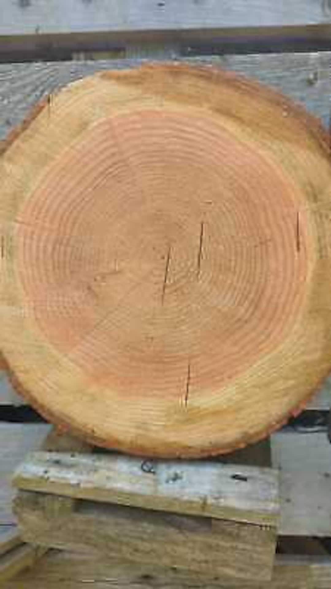 Axe Throwing Target Practice Log Rings, Imperfect Log Rings, Various ...