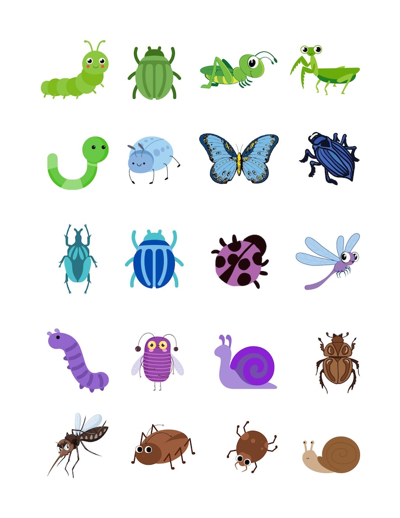 Preschool, Toddler, Color Recognition Activity, Bugs, Sorting ...