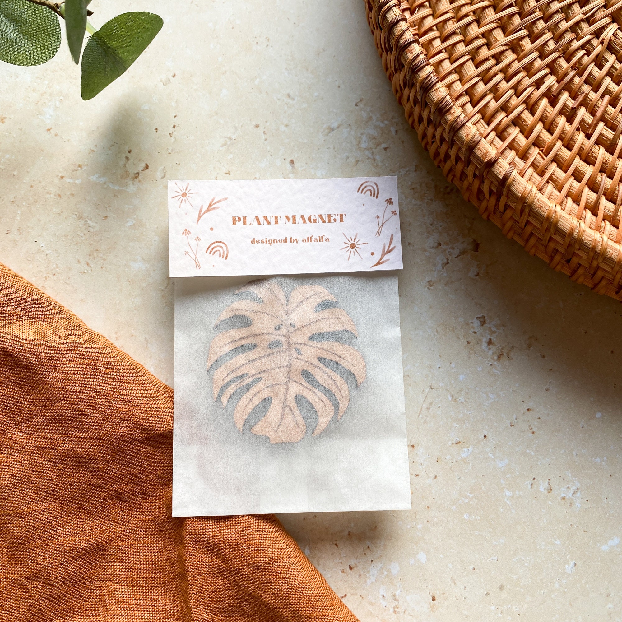 Monstera Deliciosa Magnet Monstera Plant Magnet Swiss Cheese - Etsy