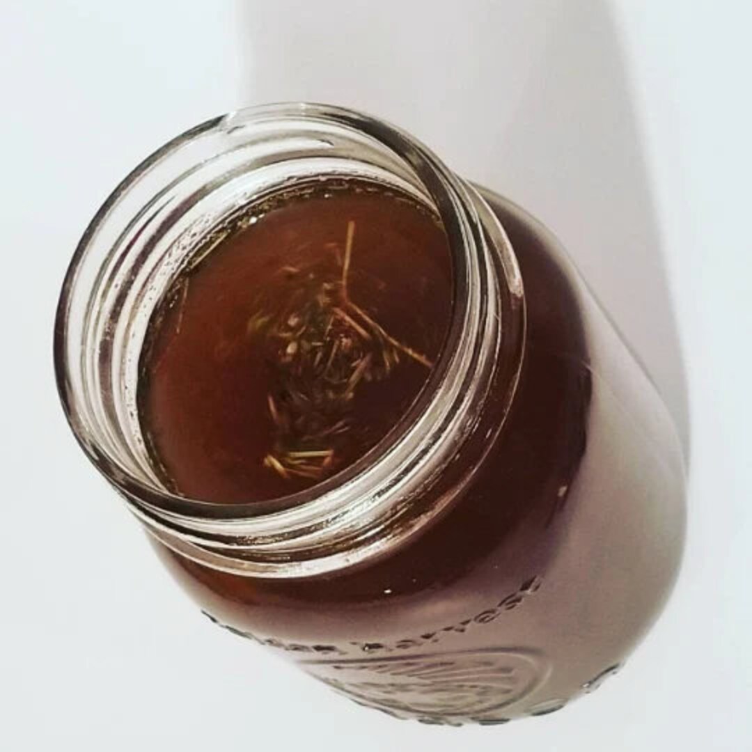 Jamaican Dog Blood Herb Bush Tea Wildcrafted From Jamaica Responsible ...