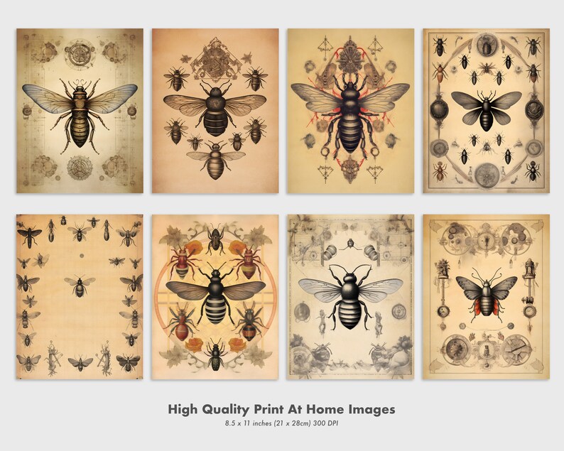 Vintage Insects Digital Paper - 20 Pack - Scrapbooking Ephemera - Bugs ...