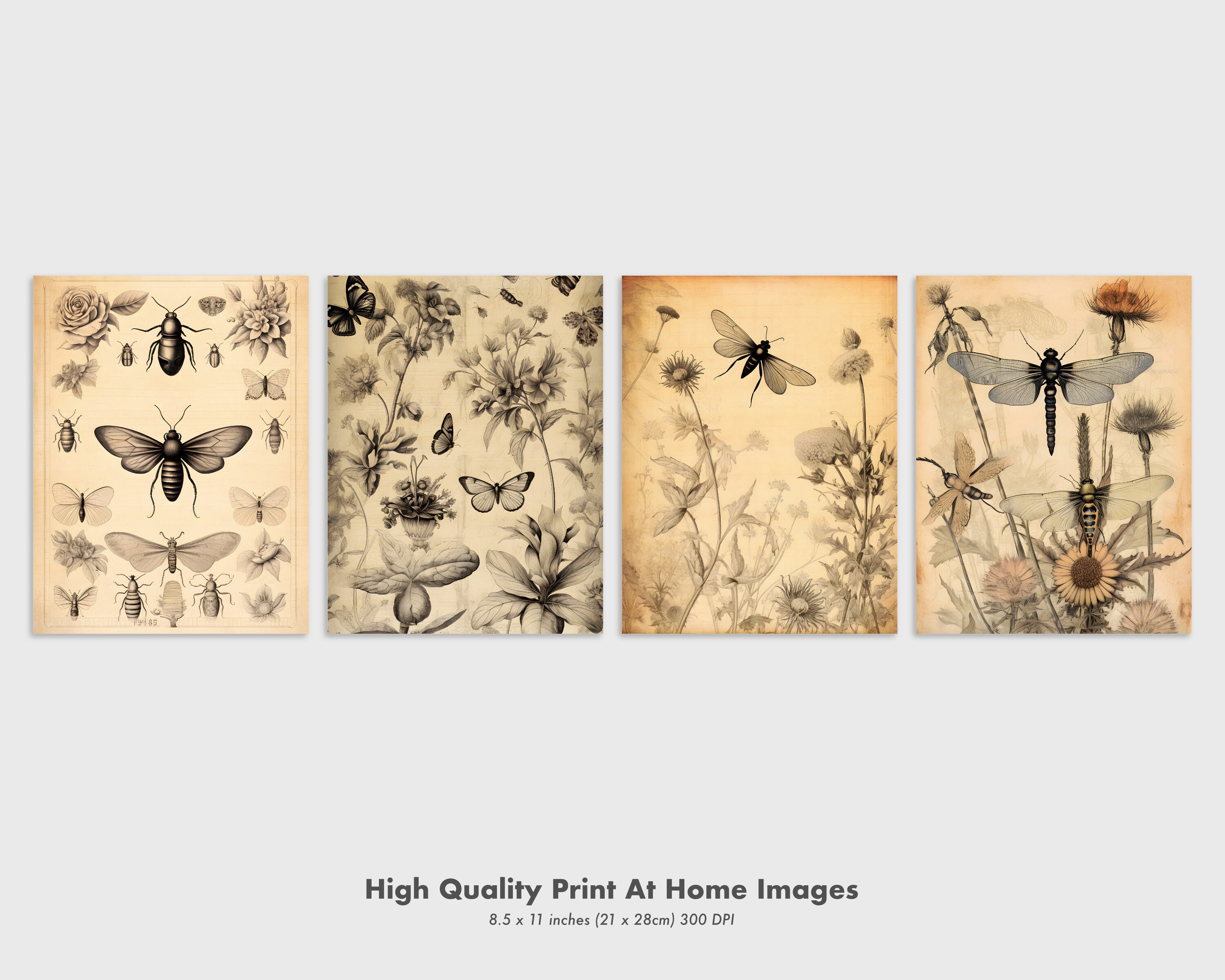 Vintage Insects Digital Paper - 20 Pack - Scrapbooking Ephemera - Bugs ...