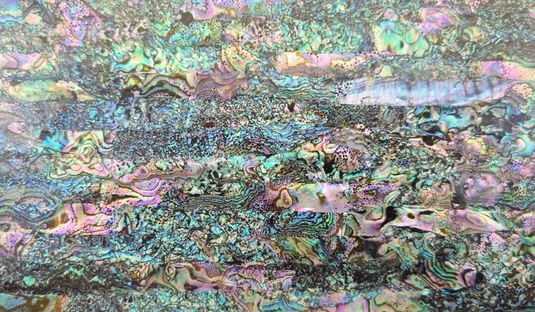 Mexican Abalone Shell With Black Background Adhesive Veneer Sheet ...