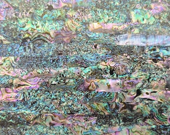 Natural Paua Abalone Shell Adhesive Veneer Sheet, Mother of Pearl 9.5 X ...