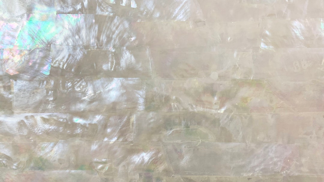 White Sea, Shell Adhesive Veneer Sheet (mother of Pearl Shell) 9.5 X 5. ...