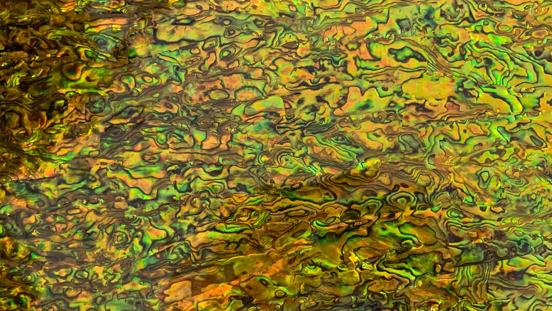 Yellow New Zealand Abalone Shell Adhesive Veneer Sheet (mother of Pearl ...