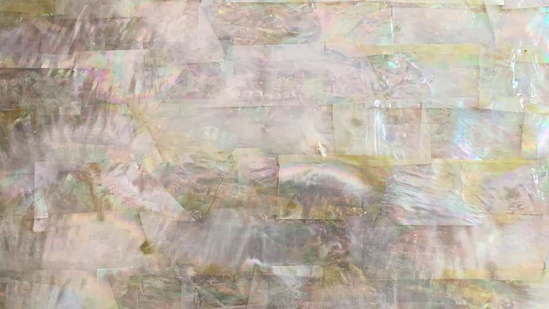 Yellow Mop Shell Adhesive Veneer Sheet (mother of Pearl Shell) 9.5 X 5. ...