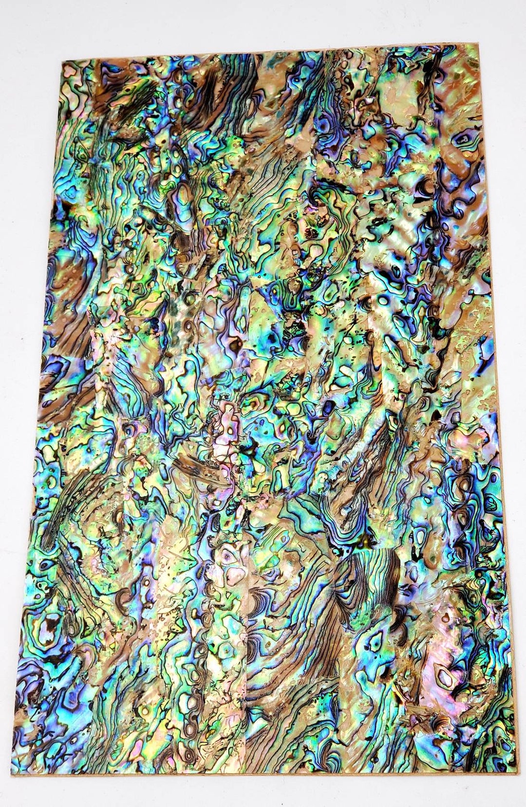 Natural Paua Abalone Adhesive Veneer Sheet (mother of Pearl Shell) 9.5 ...