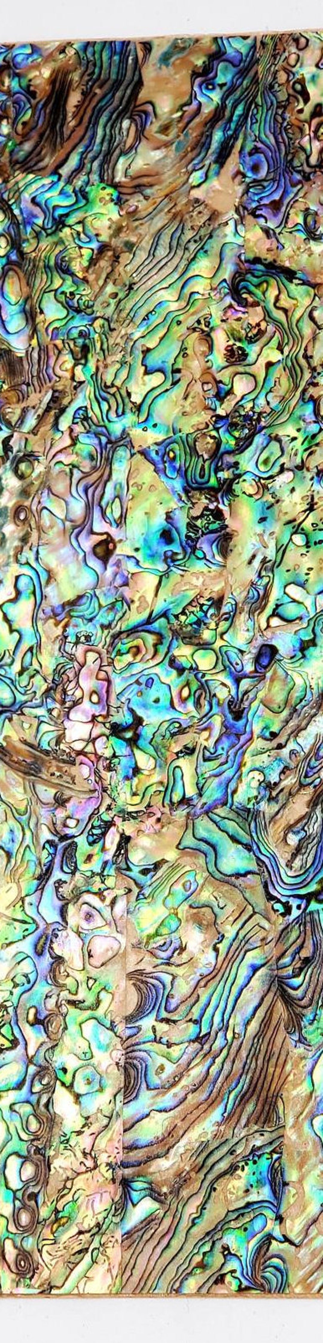 Natural Paua Abalone Shell Adhesive Veneer Sheet, Mother of Pearl 9.5 X ...