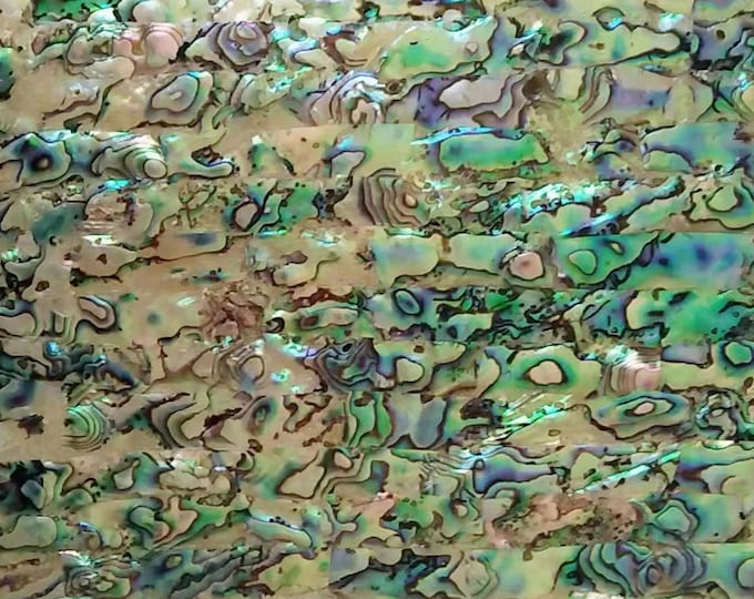 River Shell Adhesive Veneer Sheet mother of Pearl Shell 9.5 X 5.5 ...