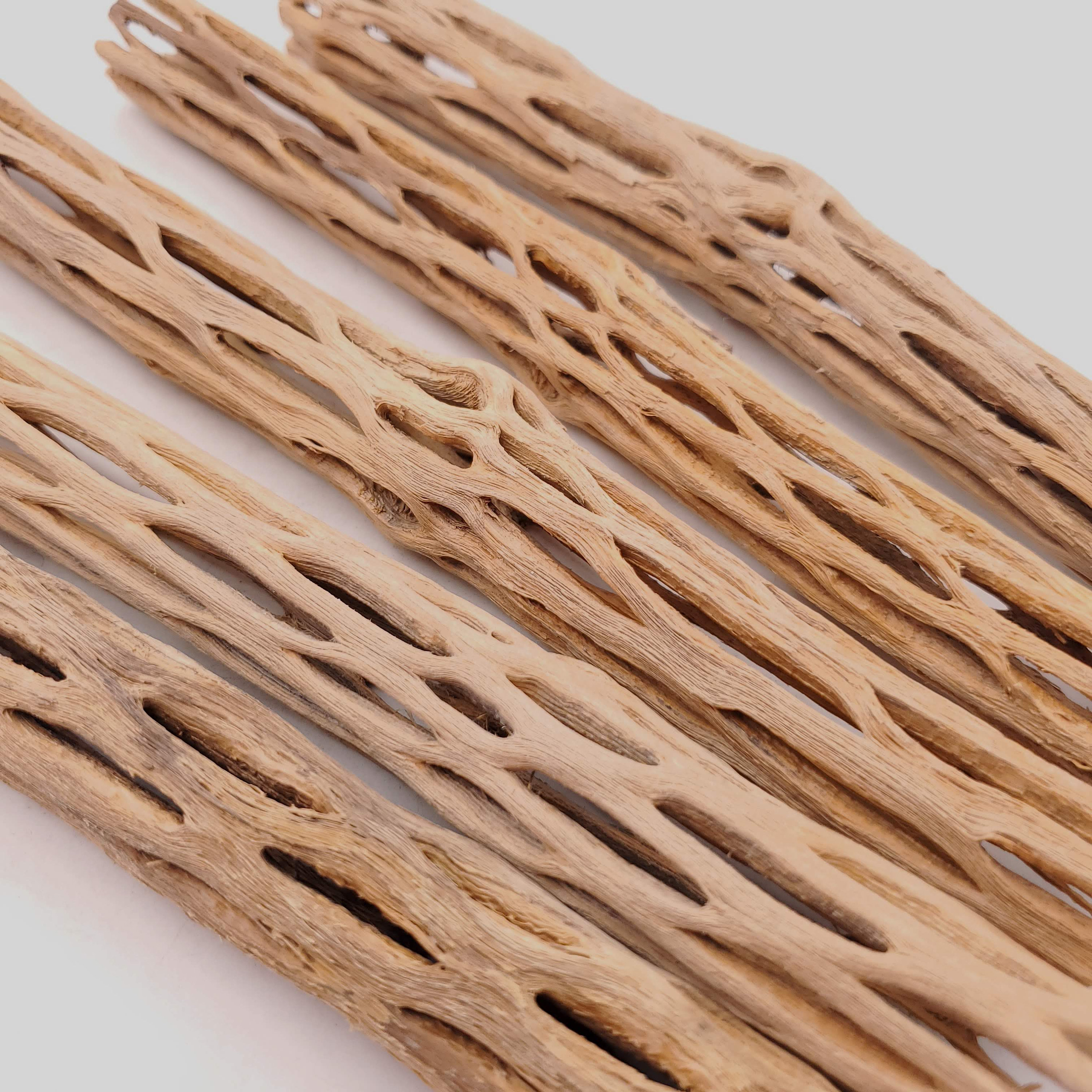 Senshi Red Cholla Cactus Pen Blanks 7/8 X 5-1/4 - Etsy