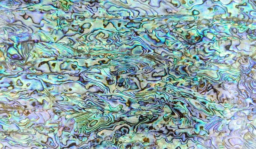 Abalone AAA Shell Adhesive Veneer Sheet (mother of Pearl Shell) 9.5 X 5 ...