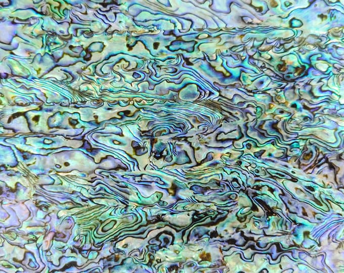 Natural Paua Abalone Shell Adhesive Veneer Sheet, Mother of Pearl 9.5 X ...