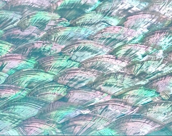 White Sea, Shell Adhesive Veneer Sheet mother of Pearl Shell 9.5 X 5.5 ...