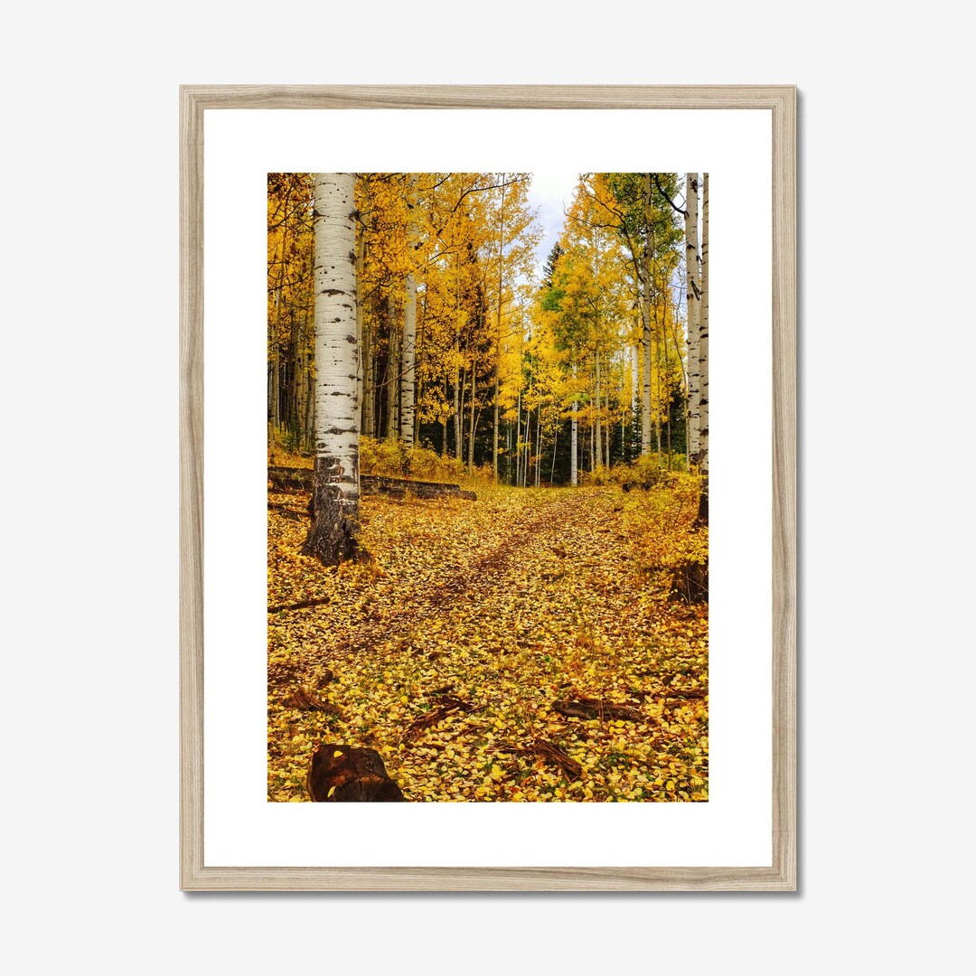 Fall Autumn Photography Print Poster, Forest Path Fall Photography ...