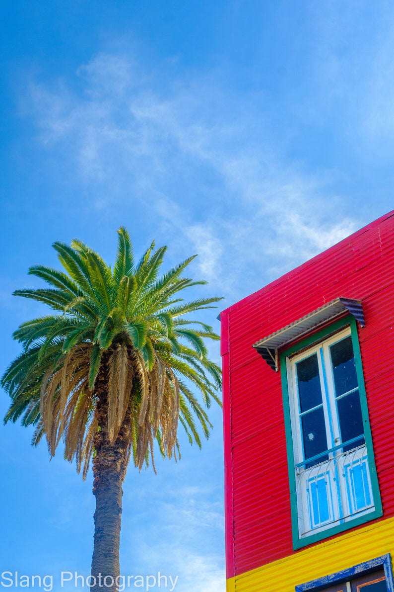 Buenos Aires La Boca Photo Print, Palm Tree Photography, Colourful ...