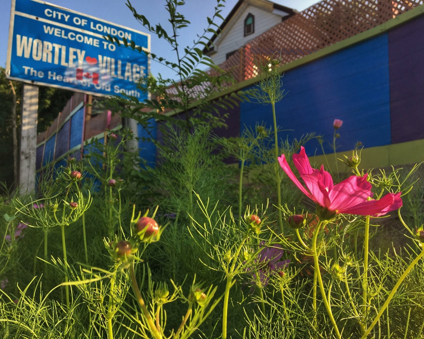 Photo of Wortley Village London Ontario London Ontario - Etsy