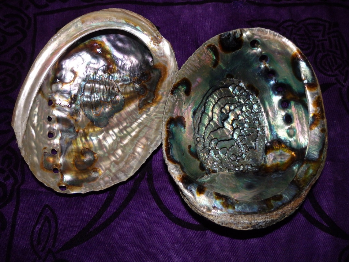 Large Abalone Shell Smudge Kit Shell Organic Abalone Shell - Etsy