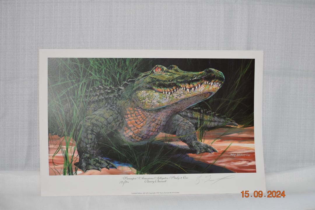 Barry Barnett Signed Lithograph 1997 swamper American Alligator - Etsy