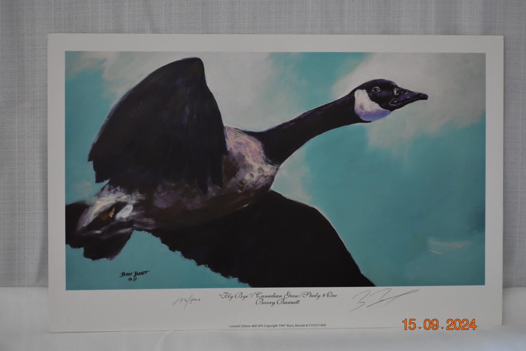 Barry Barnett Signed Lithograph 1997 fly Bye Canadian Geese - Etsy