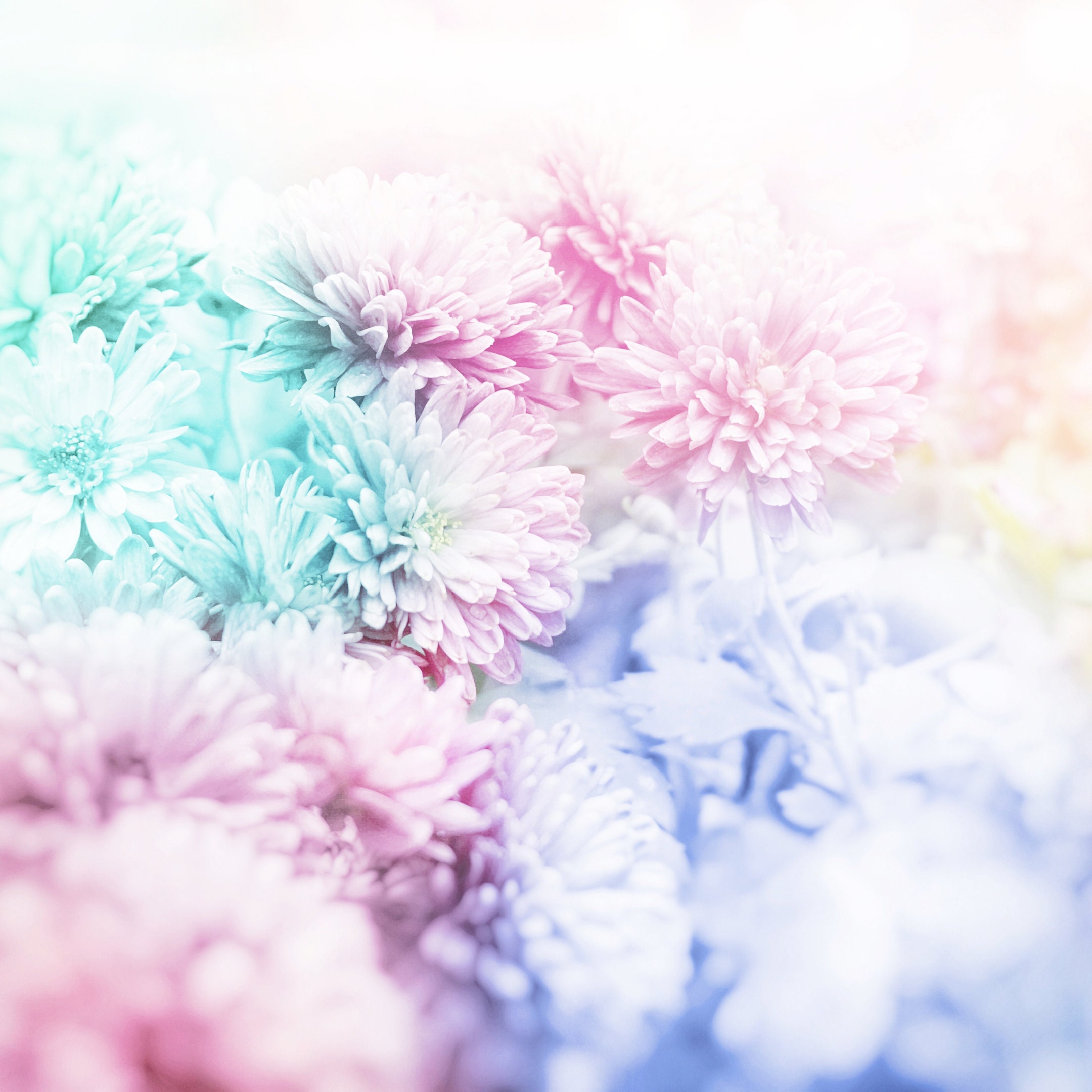 30 Pastel Rainbow Instagram Templates - Etsy