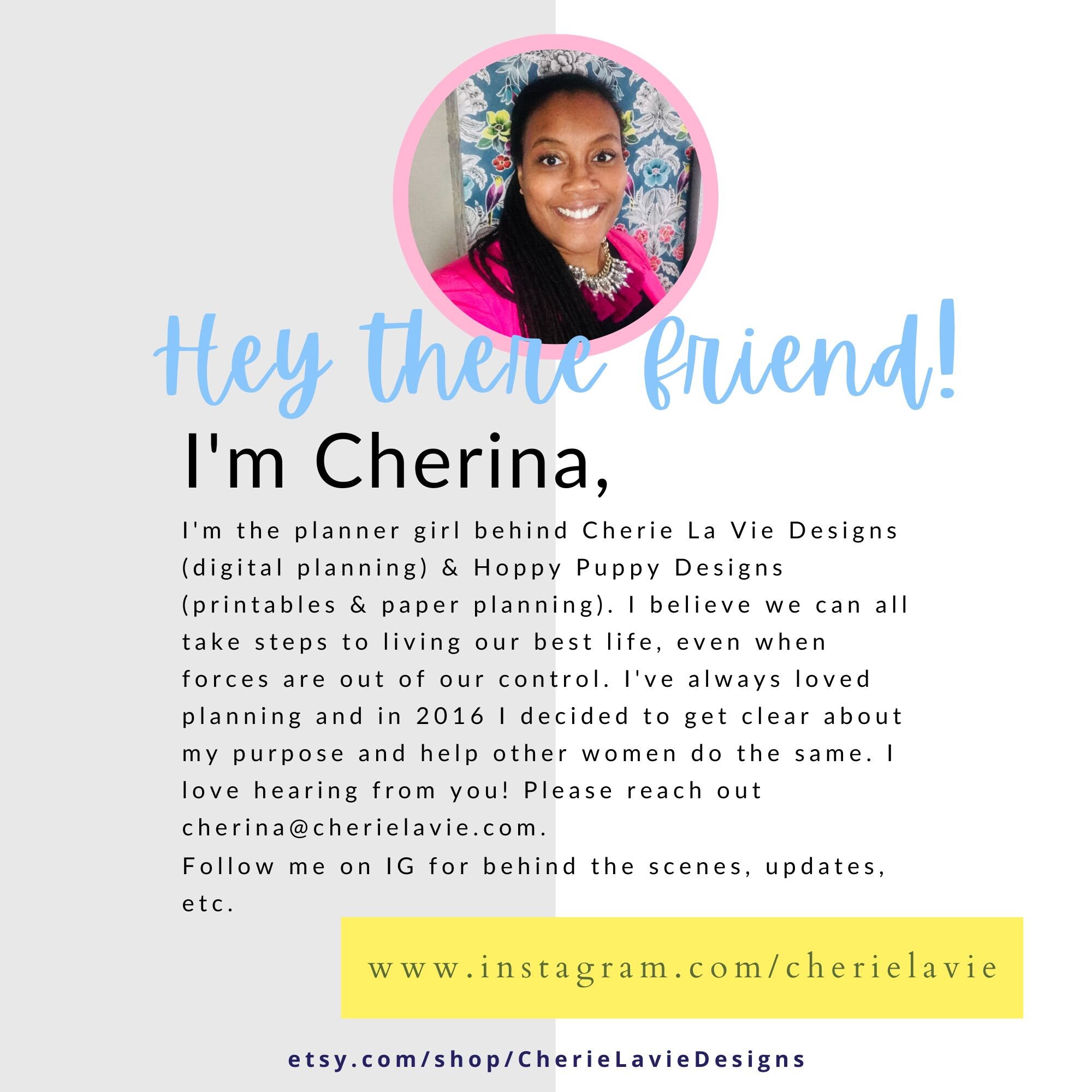 Cheerful Budget Planner | Printable | Happy Planner Letter A4 | Digital ...