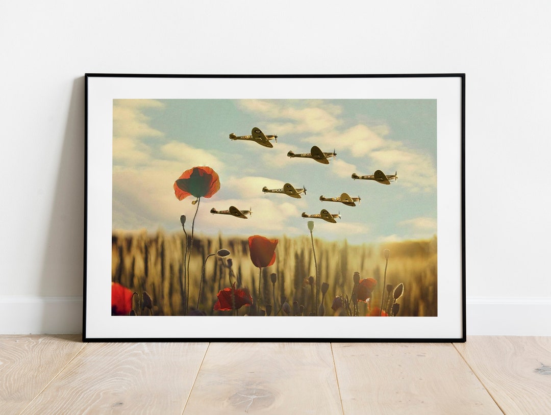 Aviation Art | British RAF WW2 Spitfire Wall Art, Poppy Field Flower ...