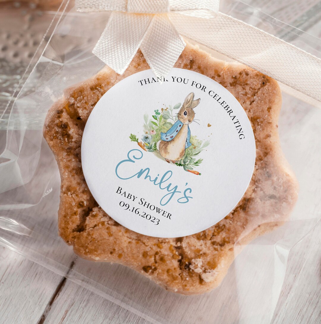 Peter Rabbit Baby Shower, Blue Jacket, 20 Stickers, Kid Birthday, Favor ...