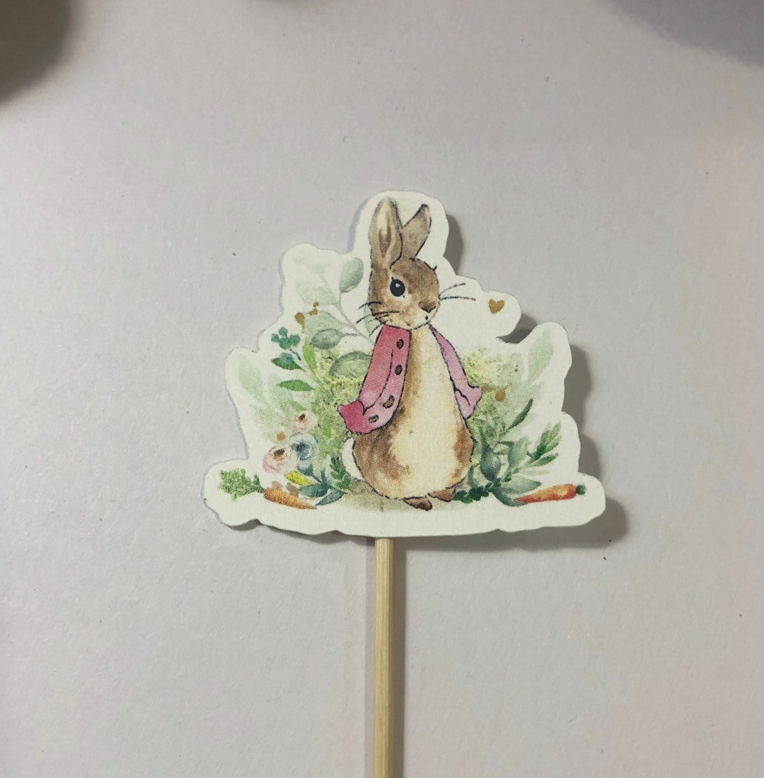 PRINTED 12 Peter Rabbit Flopsy Bunny Beatrix Potter Theme Cupcake Pick ...