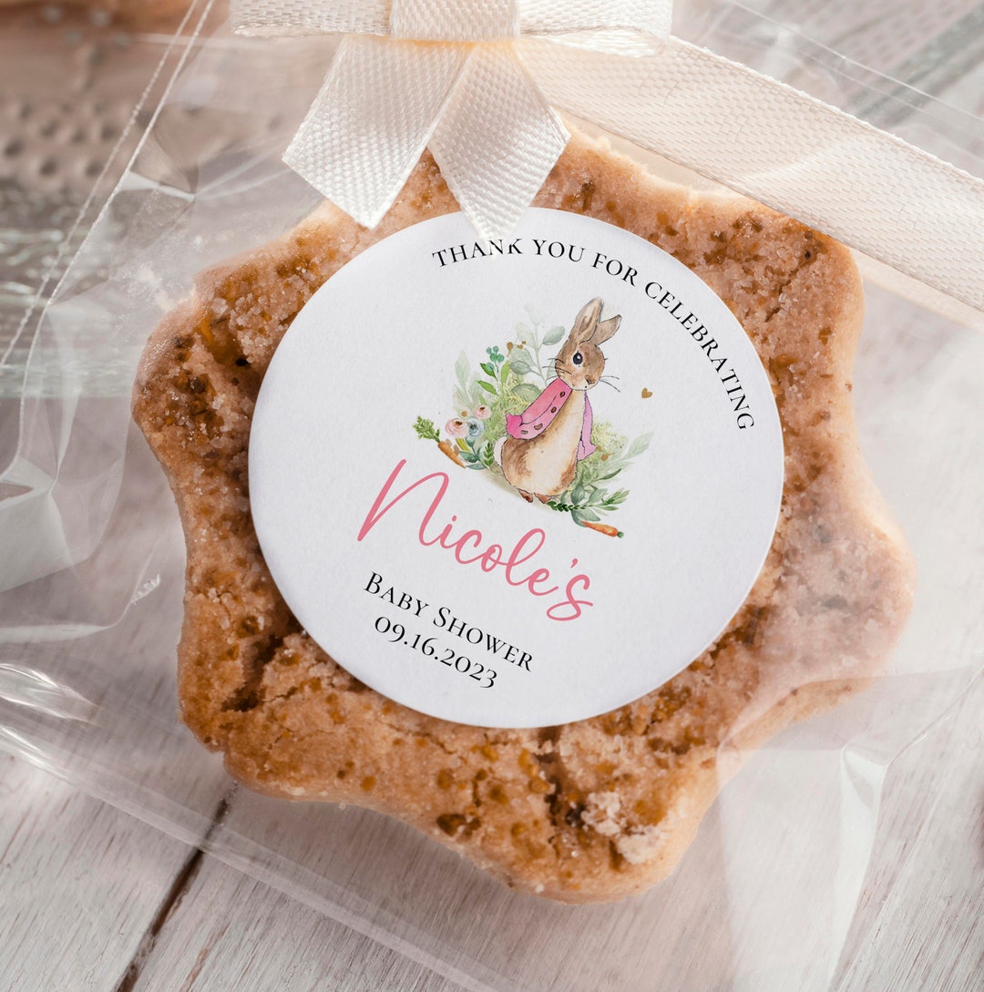 Flopsy Bunny Peter Rabbit, Pink Jacket, Baby Shower, Baby Shower ...