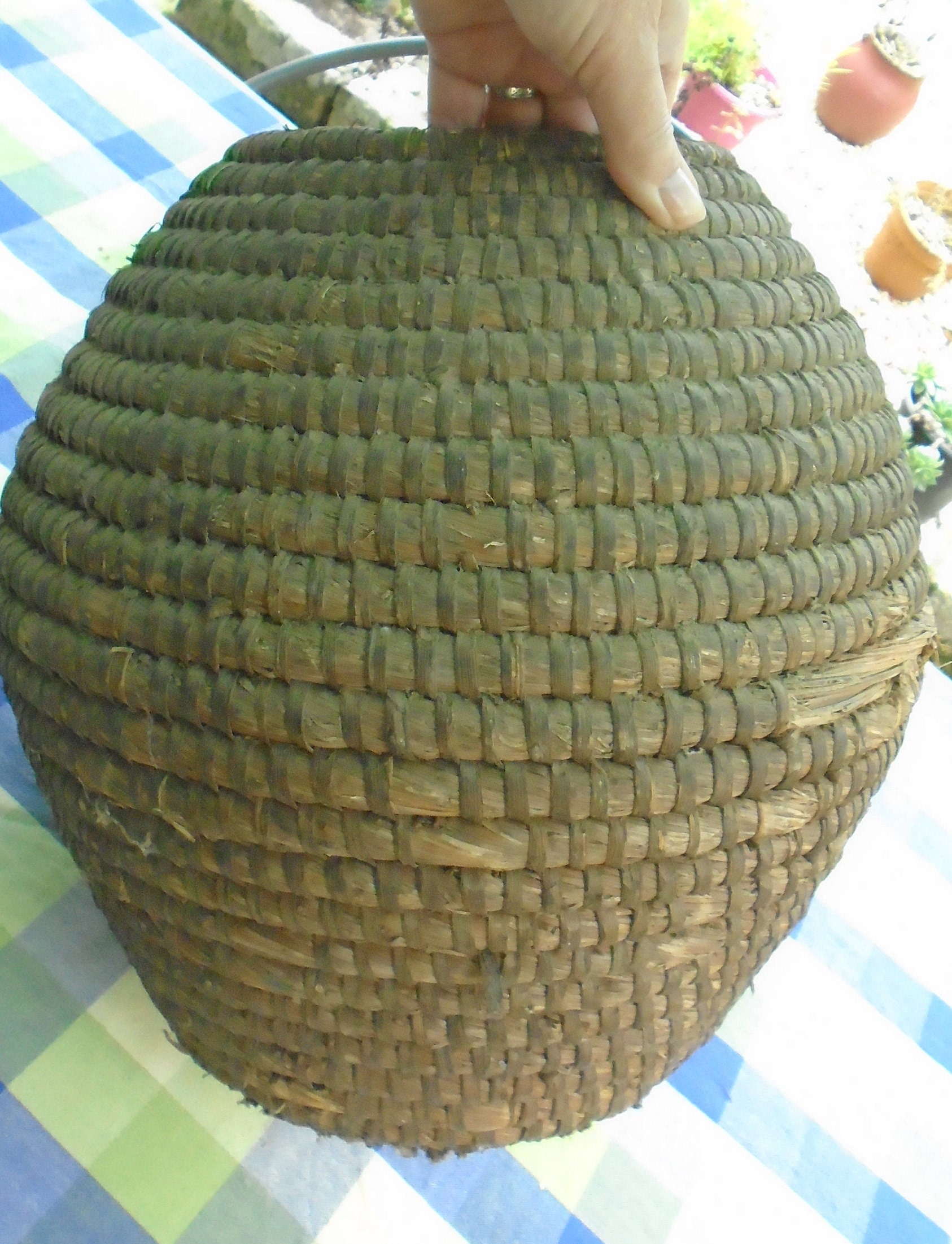 Antique French Rye Coiled Basket, Large Bourgne Woven Rye Grass, Wicker ...