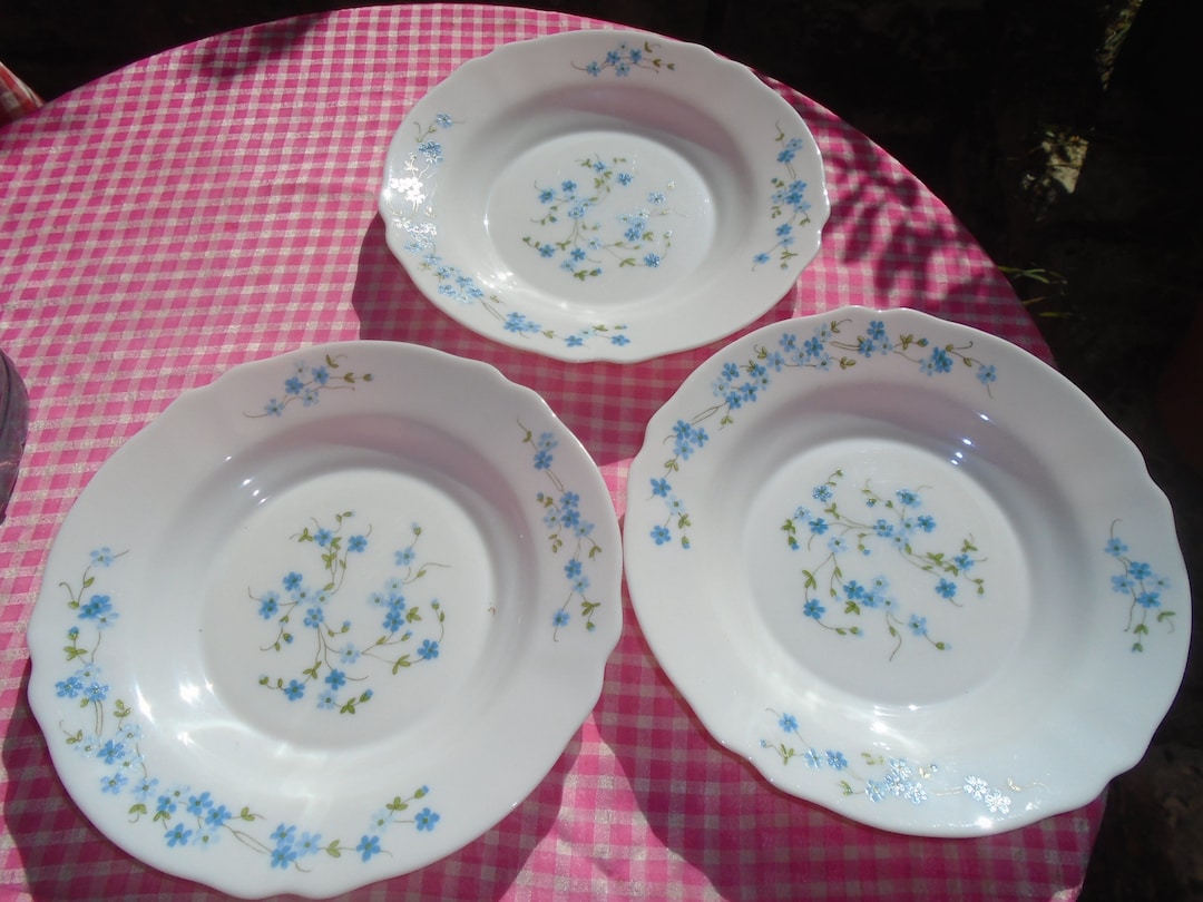 3 Vintage French Arcopal Milk Glass Soup Dishes, Veronica, Myositis ...