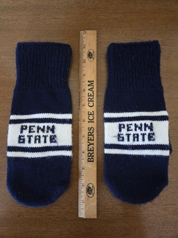 Super Cool & Vintage Penn State University (PSU) Nitt… - Gem