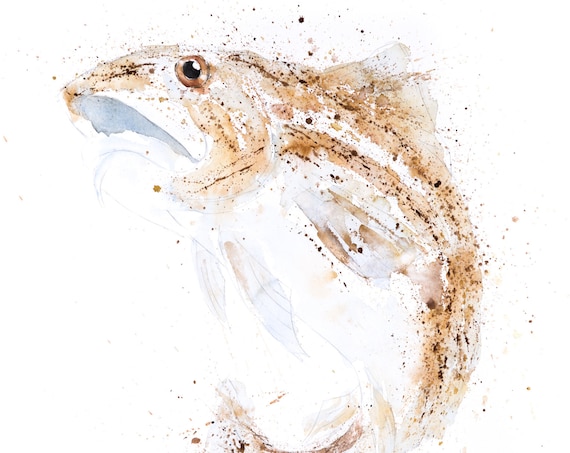 Aquatic Animal Paintings - Watercolour Paintings and Prints by Syman Kaye