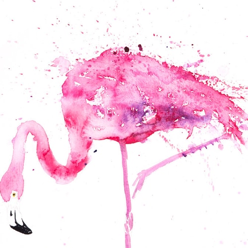 Flamingo Pair Print Signed Limited Edition Prints of My - Etsy
