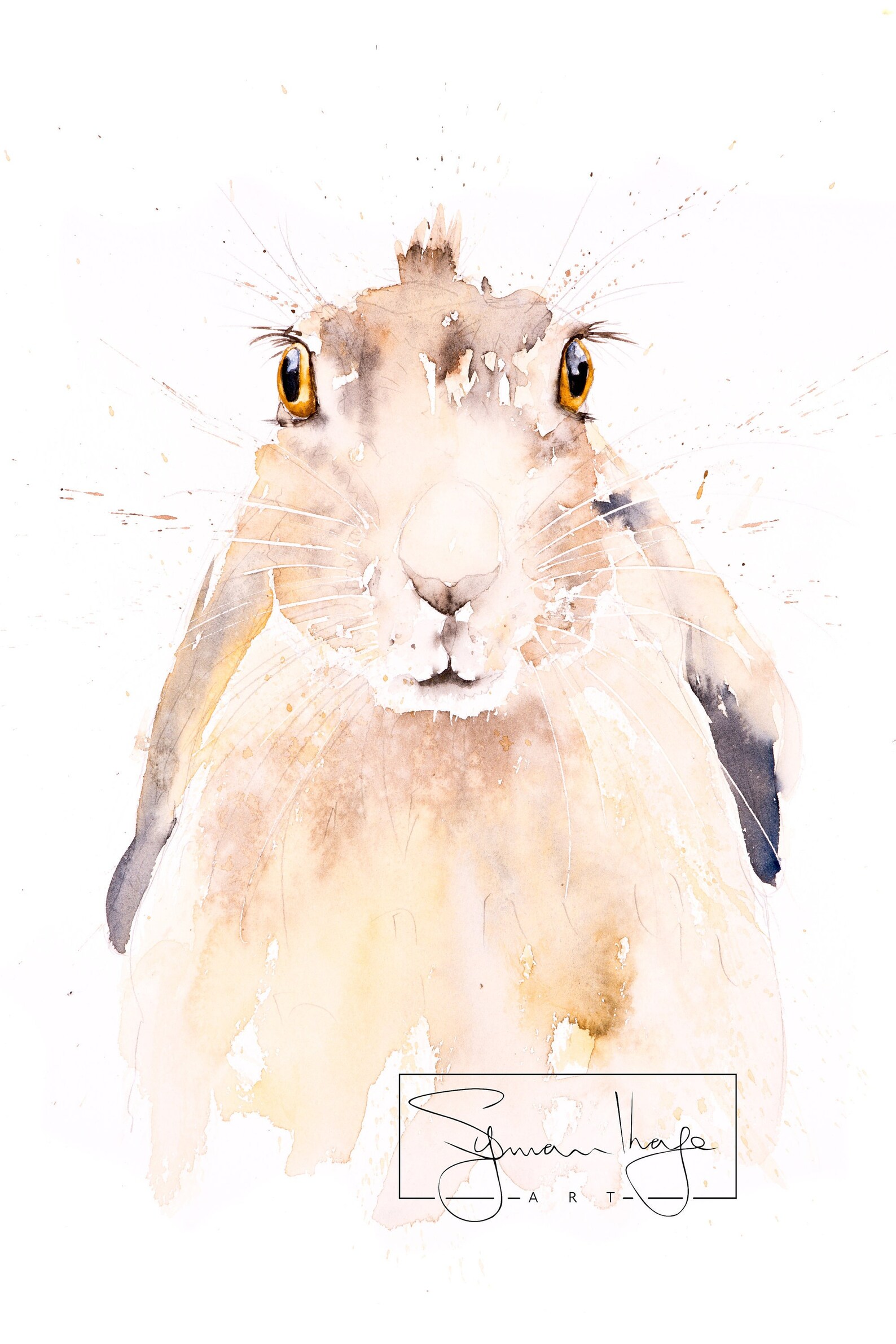 Harry Hare Signed Limited Edition Print of My Original - Etsy
