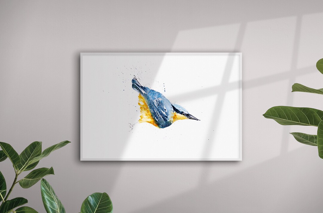 Nuthatch Painting Nuthatch Watercolour Painting Hand Signed Limited ...