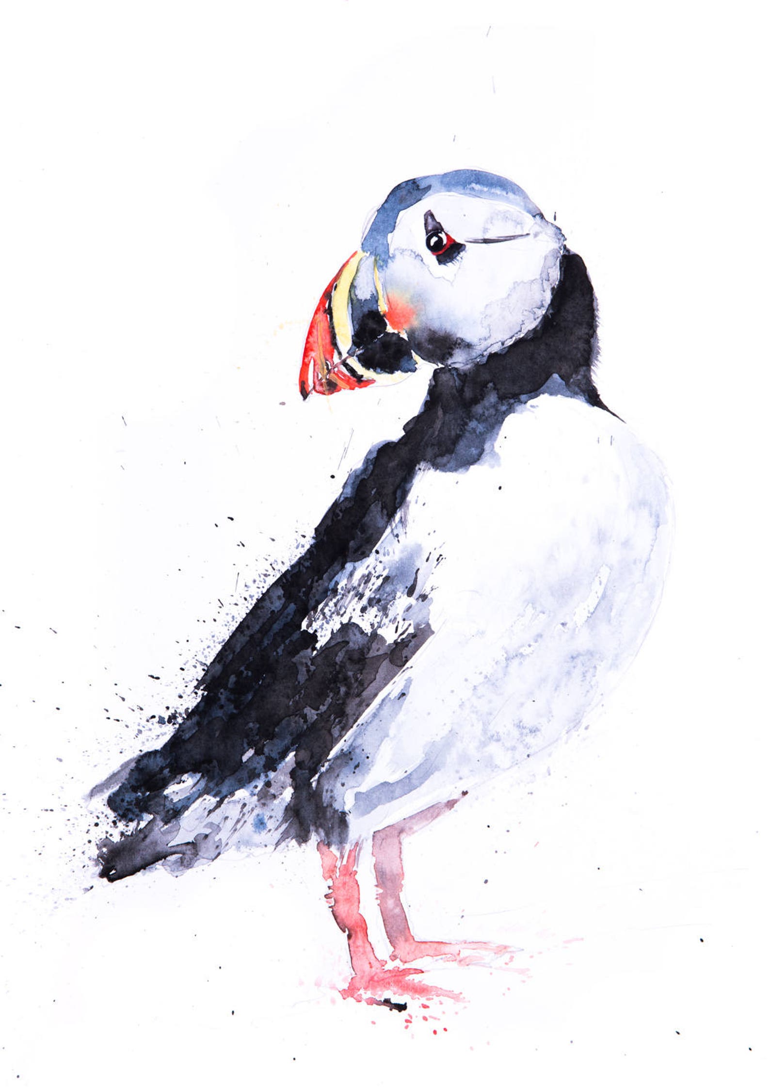 Puffin Watercolour Painting Print Set, Signed British Wildlife Art - Etsy