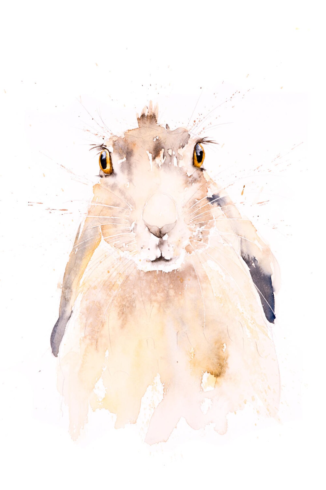 Harry Hare Signed Limited Edition Print of My Original | Etsy