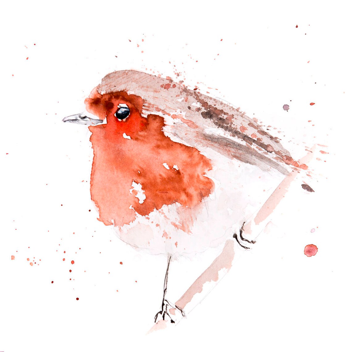 Robin Painting 3 Fat Robin Red Breasts Hand Signed Limited - Etsy
