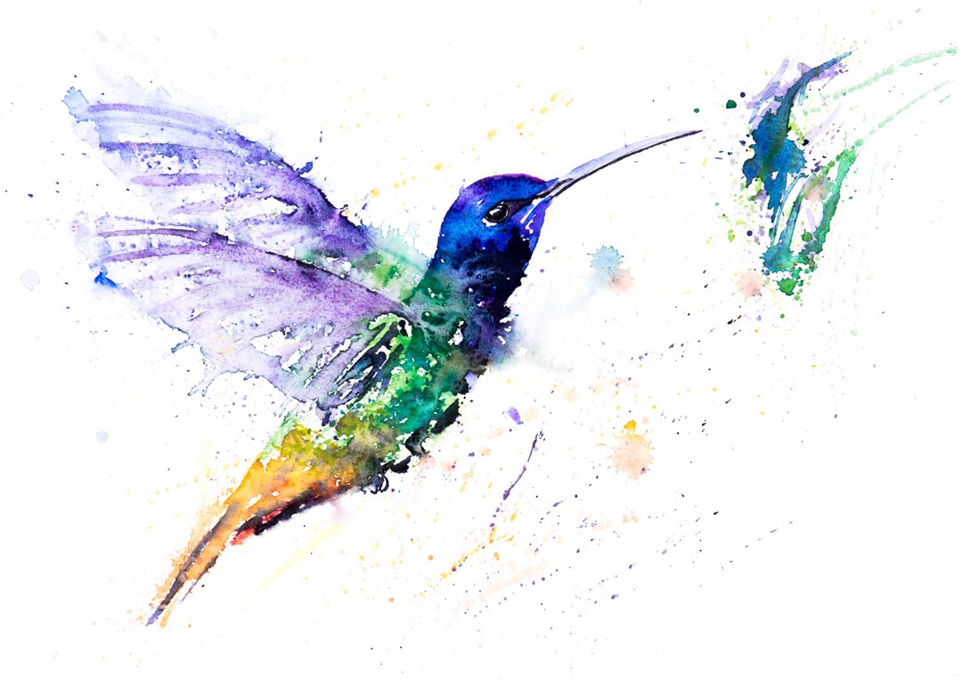 Humming Bird No.1 - Signed Print of My Original Watercolour Painting - Etsy UK