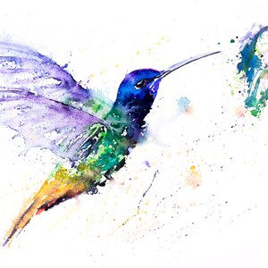 Humming Bird No.1 - Signed Print of My Original Watercolour Painting - Etsy UK