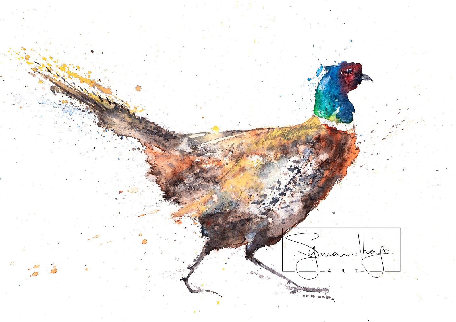 Pheasant Painting Pheasant Art Hand Signed Limited Edition - Etsy