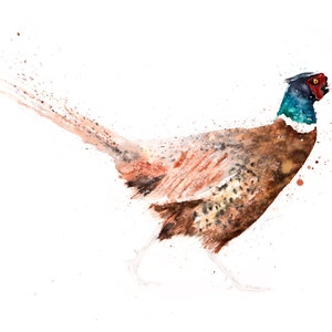 Pheasant Limited Edition Watercolour Print of My Original Watercolor ...