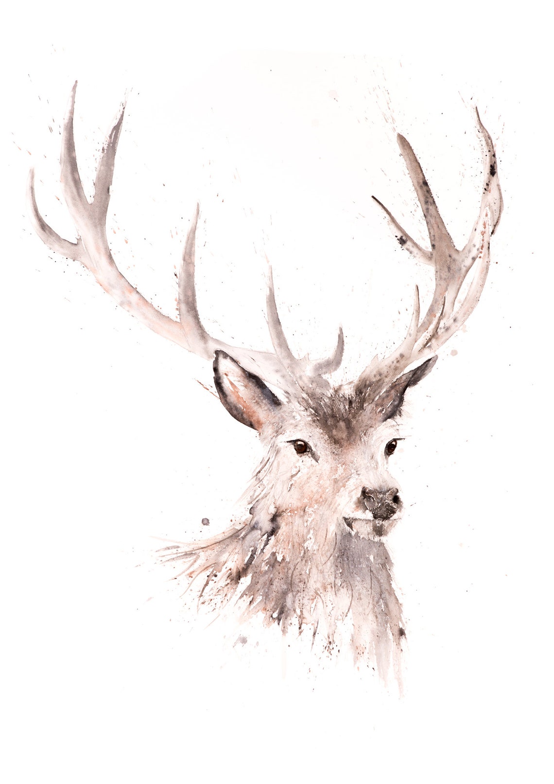 Stag Watercolor Watercolour Painting Hand Signed Dated - Etsy