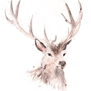 Stag Watercolor Watercolour Painting - Hand Signed Dated Numbered ...