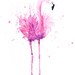 Flamingo Pair Print Signed Limited Edition Prints of My - Etsy