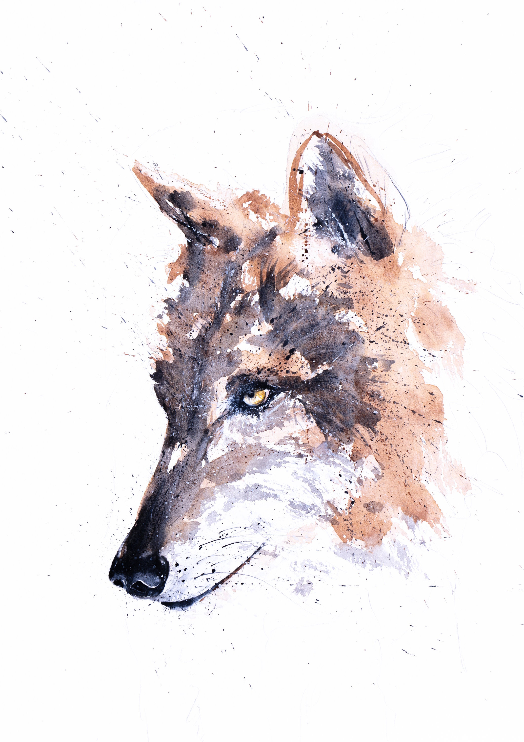 Wolf Watercolor Painting